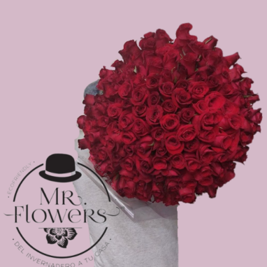 Ramo de 150 Rosas - Florería by Mr. Flowers