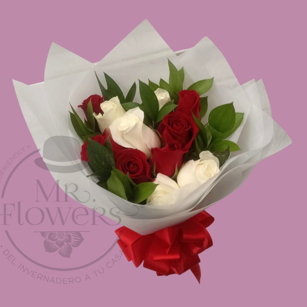 Ramo con 24 Rosas Rojas - Florería by Mr. Flowers