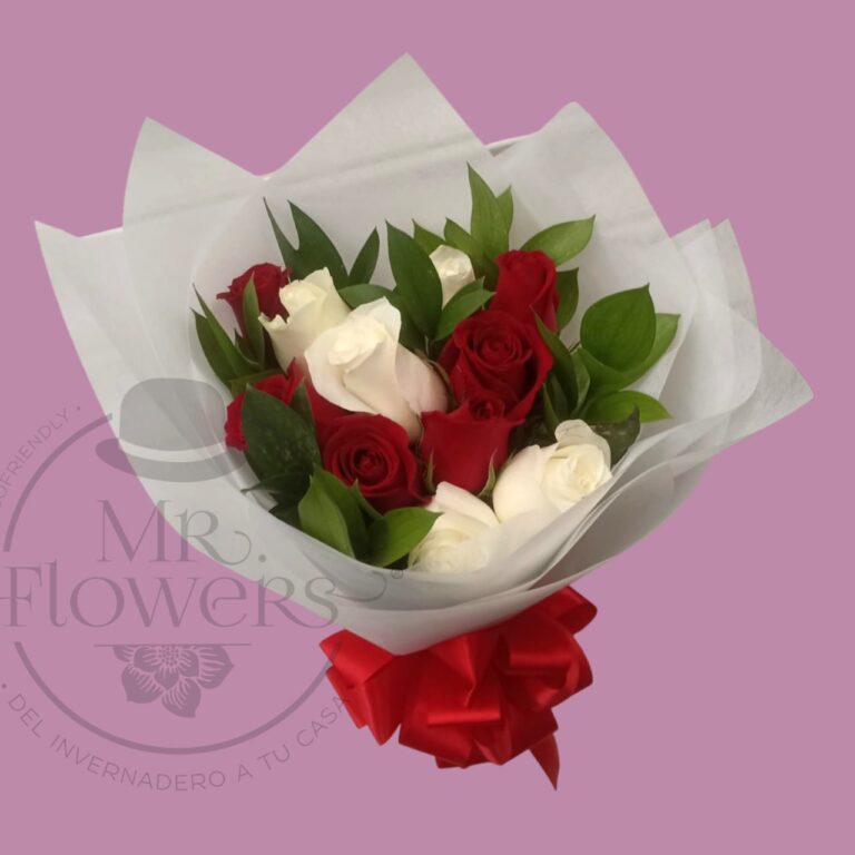 Ramo con 24 Rosas Rojas - Florería by Mr. Flowers